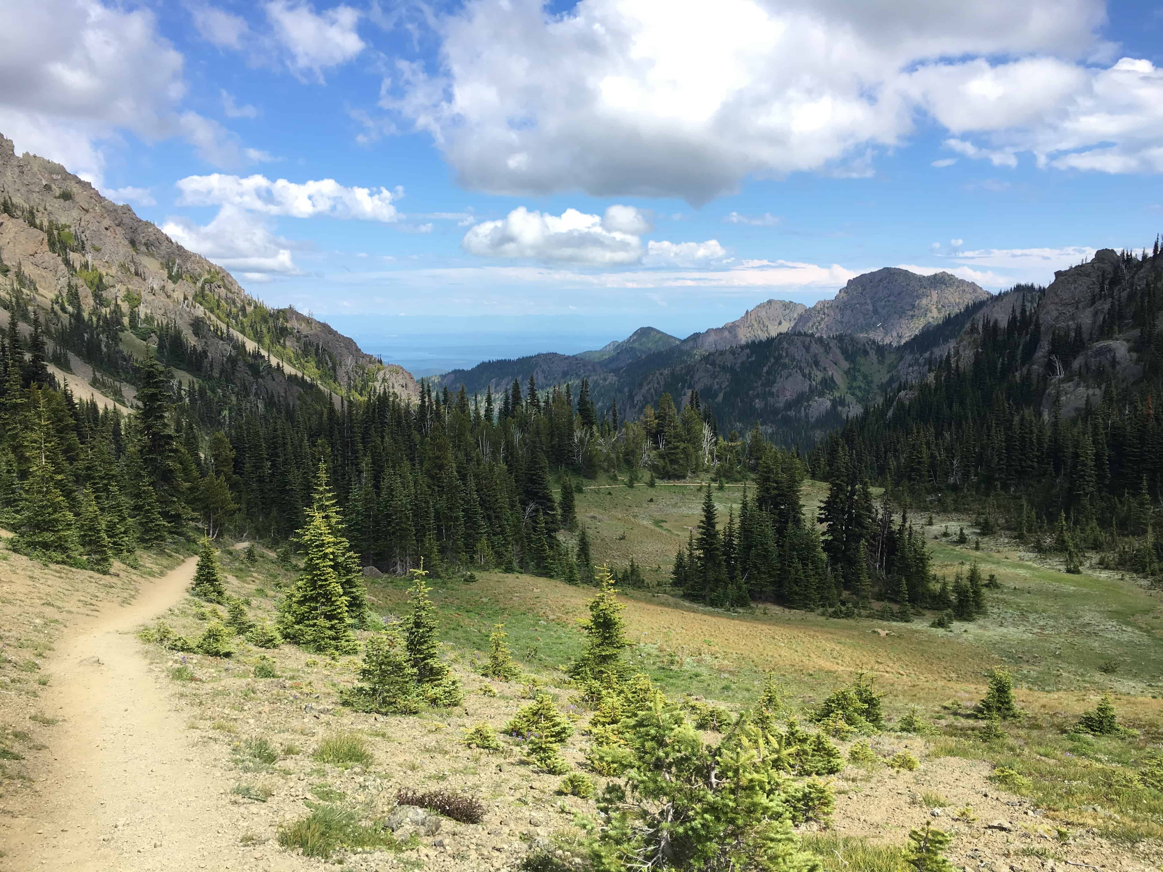 Contact - August Camp