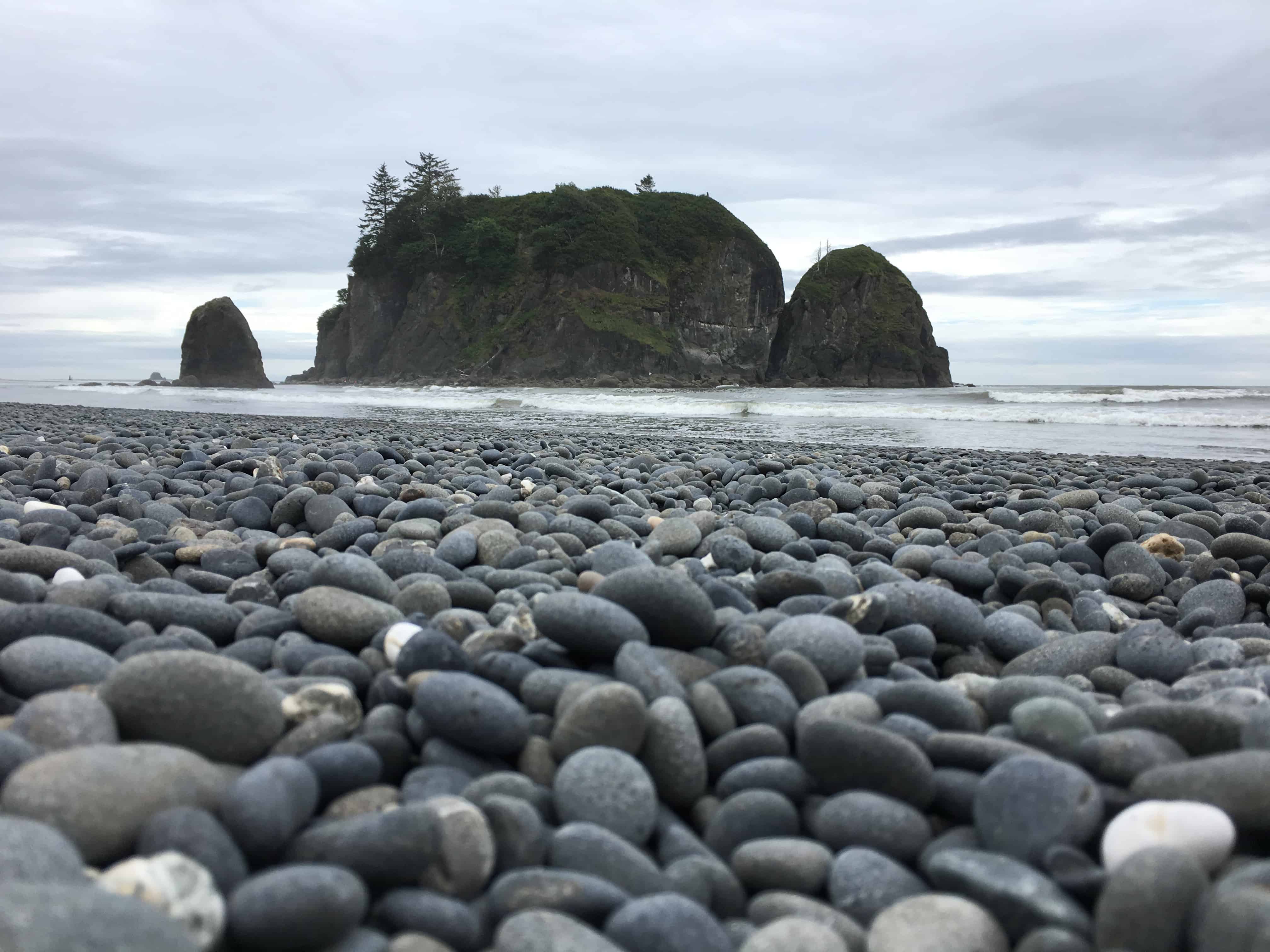 August Camp - August Camp